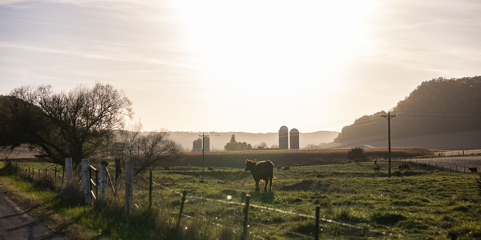 Land for Sale in Wisconsin Country | Coulee Land Company